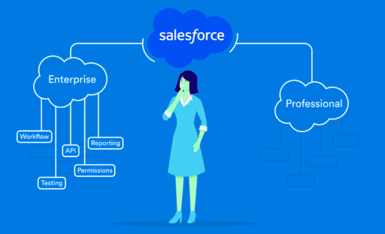 Salesforce.com Professional Edition Vs Enterprise Edition