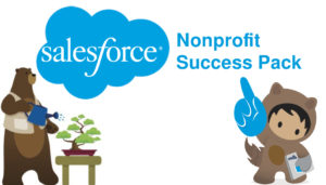 Top 7 Features of Salesforce Nonprofit Success Pack (NPSP)